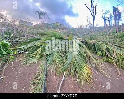 Cyclone Chido impact in Mayotte island indian ocean december 2024 Stock ...