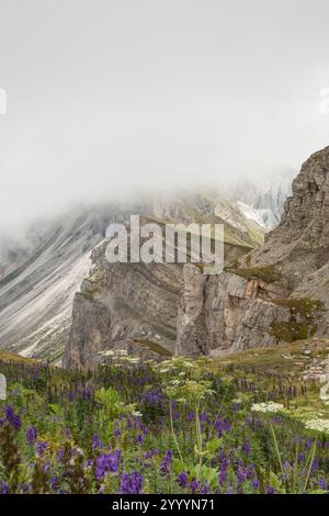 A vertical of the scenic Seceda mountain peak captured in winter in ...