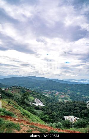 An aerial photographic view of Mon Jam Village in Chiangmai, filled ...