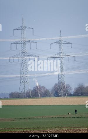 Pulheim, Germany. 02nd Mar, 2025. Snowdrops and crocuses bloom in ...