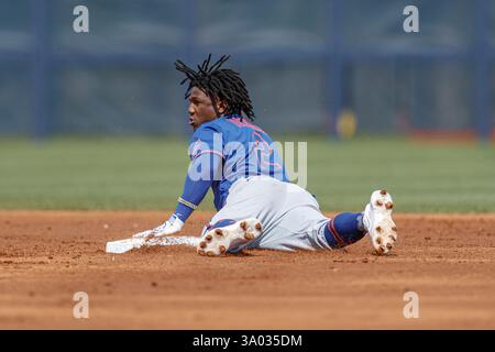 New York Mets' Luisangel Acuna looks on from the dugout during a ...
