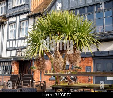 Horning, Norfolk, UK – March 3 2024. The Swan Inn pub and its beer ...