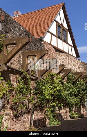 Concrete wall with grape vine in autumn. Selective focus Stock Photo ...