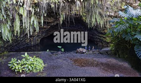 Grotto, filled with water, plants, different, various, three tourists ...