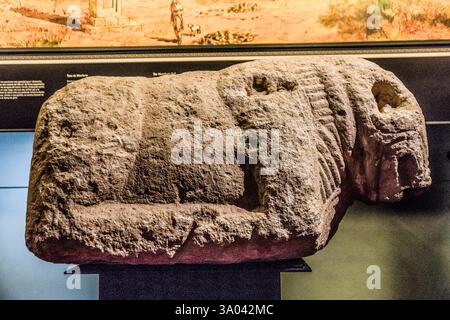 Bull of Monforte, 500 BC, archaeological and history museum of Elche ...