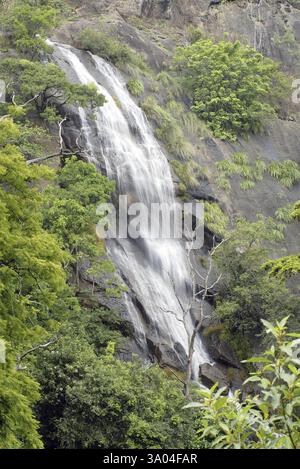 A waterfall during monsoon near Coonoor, Nilgiris, Tamil Nadu, India ...