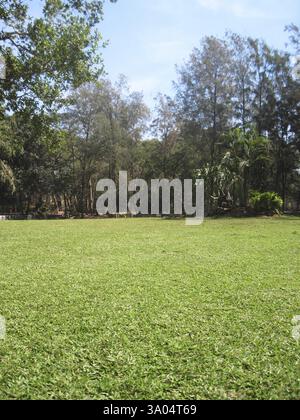Green grass lawn, India, Asia Stock Photo - Alamy