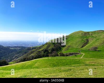 Vibrant green hills at spring Stock Photo - Alamy