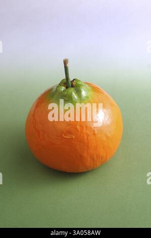 Fruit English Name Mandarin Orange Botanical Name Citrus reticulata ...