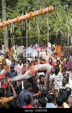 Devotees fulfilling vow by hanging with hooks in Thaipusam Festival in ...