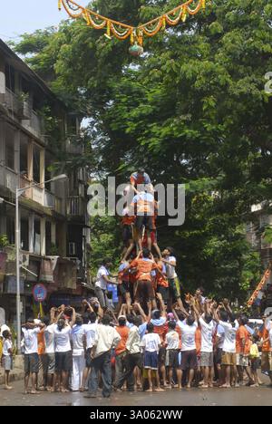 Human Pyramid Janmashtami Festival at Dadar Mumbai Maharashtra India ...