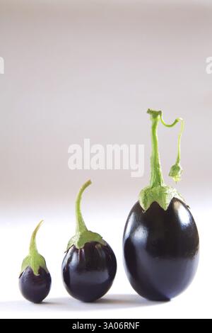 Vegetables, baingan, Brinjal, Eggplant, India, Asia Stock Photo - Alamy
