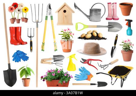 Set of different gardening tools and plants isolated on white Stock ...