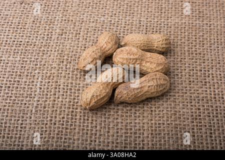 Peanuts with shell on linen canvas background Stock Photo - Alamy