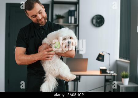 Man is smiling. Groomer is with Maltese dog indoors. Man is in the ...