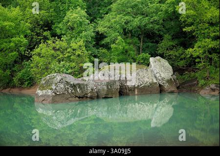 River surrounded by rocks and greenery in a forest in the daylight ...