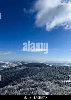 A mesmerizing winter landscape with snow-covered trees and a pond Stock ...
