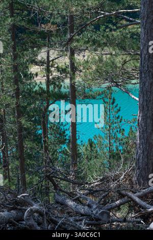 Pine trees and turquoise water in Maria Pia beach Stock Photo - Alamy