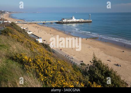 View of Bournemouth Pier from the cliff tops Stock Photo - Alamy