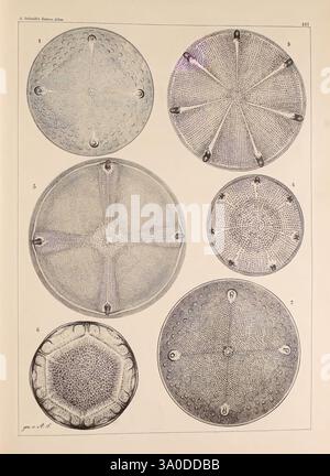 Arrangement of radial and circular geometric forms, dynamic shapes and ...