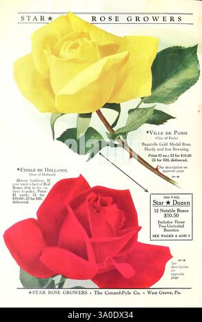 The Conard-Pyle Co, West Grove, Pa, Conard-Pyle Co, 1930, flowers ...