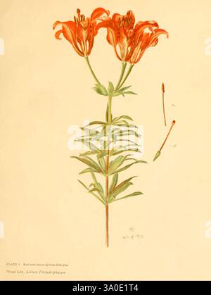 Green and orange leaves alternating pattern on a wooden board against a ...