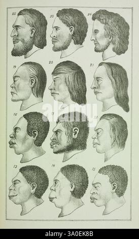 Evolution of life Philadelphia, 1873, The illustration showcases a ...