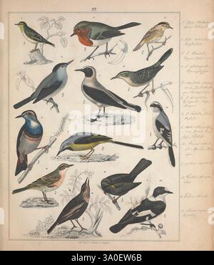 Naturgeschichte des Thierreichs, Stuttgart, Scheitlin & Krais, 1851 ...