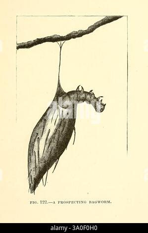 Tenants of an old farm, New York, Fords, Howard & Hulbert, 1885 1884 ...