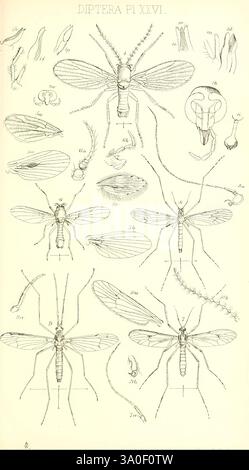 An in-depth look into the insect species of Great Britain, documented ...