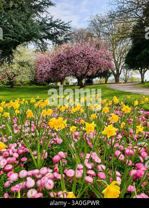 Spring at the Arboretum Park in Nottingham City Centre, Nottinghamshire ...