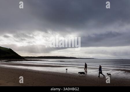 Dog walking on the beach as storm clouds roll in with Arran in ...