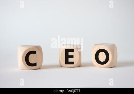 CEO - hief executive officer symbol. Concept word CEO on wooden cubes ...