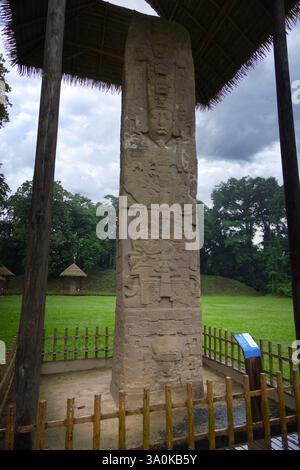 Mayan Stele at Quirigua Site, Guatemala Stock Photo - Alamy