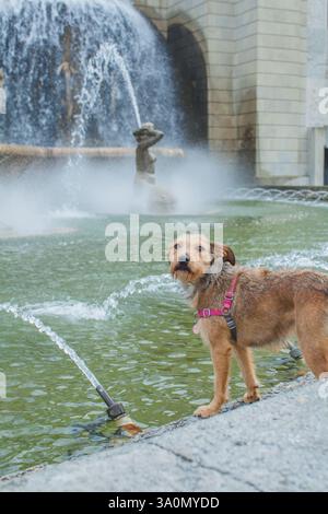 a big fountain on the Alameda square Stock Photo - Alamy