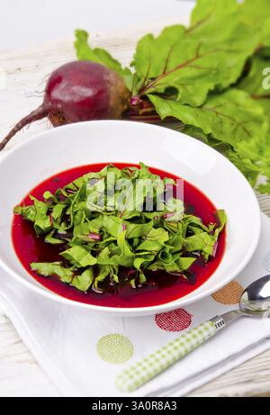 Vegetable soup from young, fresh sheets of the beetroot Stock Photo - Alamy