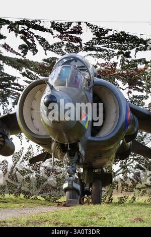 A British RAF Harrier jet is camouflaged and ready for action, near ...