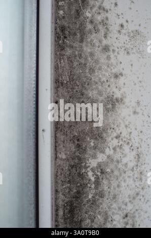 Hazardous black mold on damp wall by window frame Stock Photo - Alamy