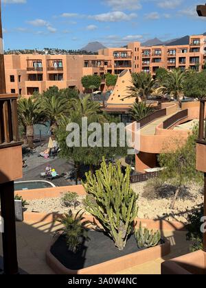 the spanish island tenerife Stock Photo - Alamy