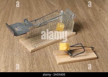 Two different mouse traps with bait on light blue background, space for ...