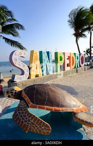 Colorful San Pedro sign with palm trees by the public beach in the town ...
