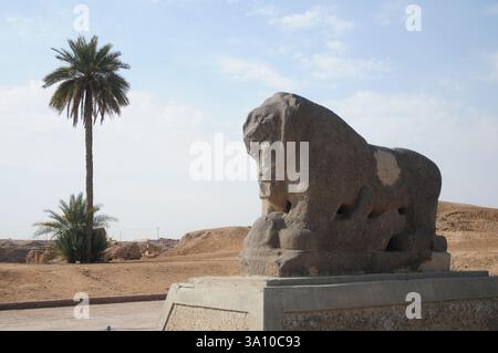 Baghdad. 4th Mar, 2025. This photo taken on March 4, 2025 shows the ...