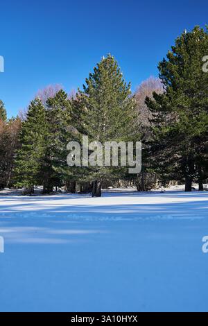 A vertical shot of snow covered field surrounded by buildings Stock ...