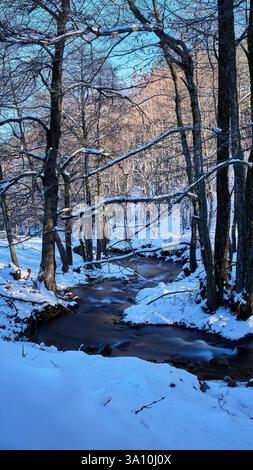 A vertical shot of a frozen river in the woods Stock Photo - Alamy