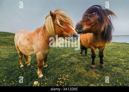Lovely couple kiss each other on the building with beautiful view Stock Photo - Alamy