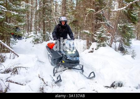 Canada, Quebec province, Matawinie, off-road snowmobile in the forest ...