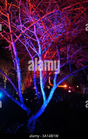 Rosemoor RHS Gardens Stock Photo - Alamy