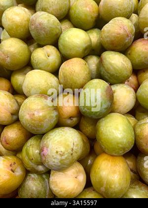 Fresh Ripe Juicy Greengage Stone Fruit Plums With No People Stock Photo ...