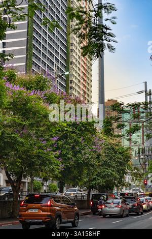 Golden hour in the City (Makati, Philippines Stock Photo - Alamy