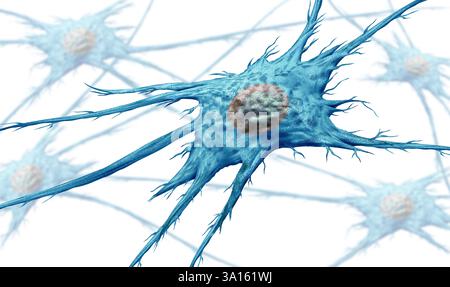 Fibroblast Cell Anatomy as the structure and components of fibroblasts ...